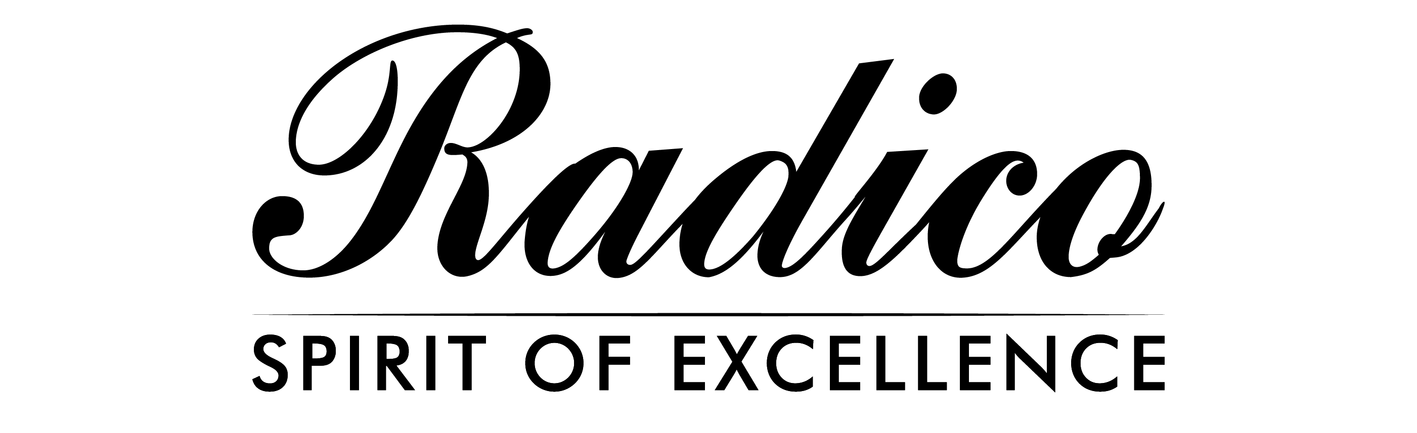 India’s Top AI-Based Digital Marketing & Web Development Experts